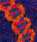 CGI.pm - a Perl5 CGI Library